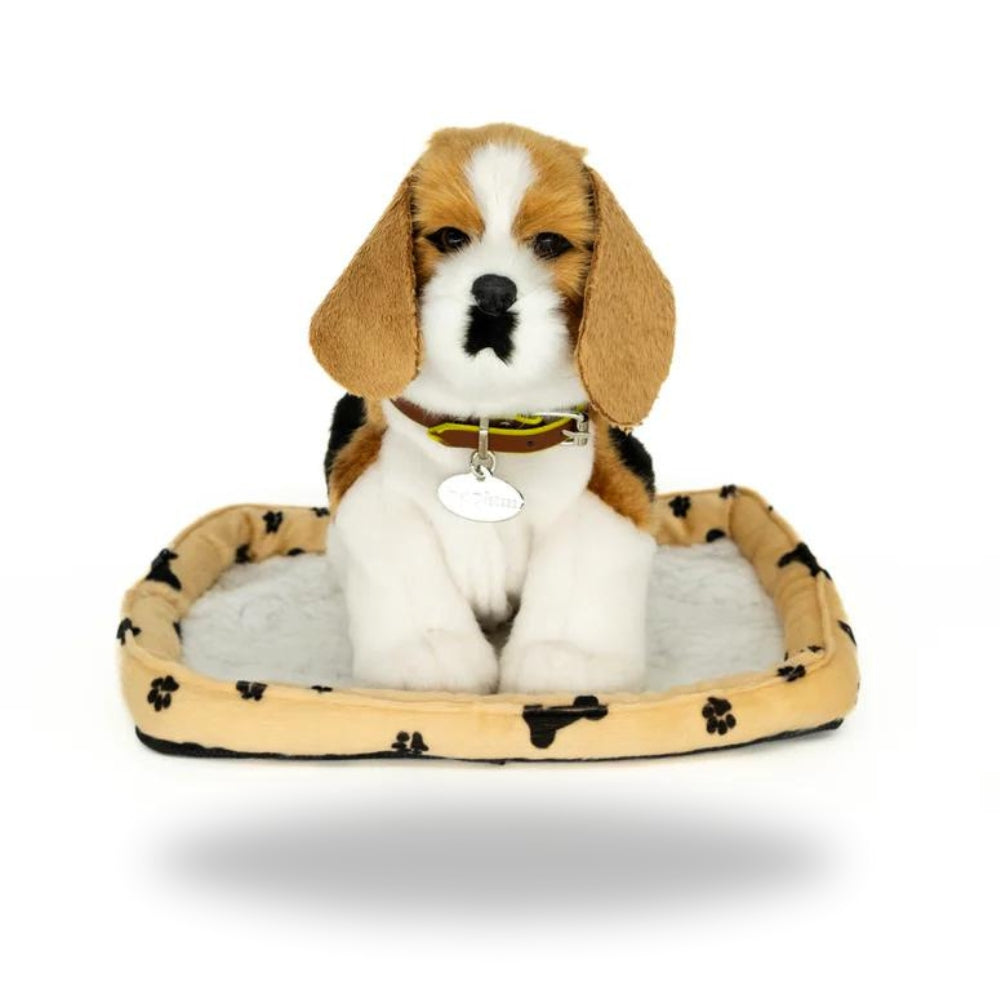 Realistic Beagle Dog Plush Toy Sweet Petzzz – Teddy&Co. FUNLAND!!!
