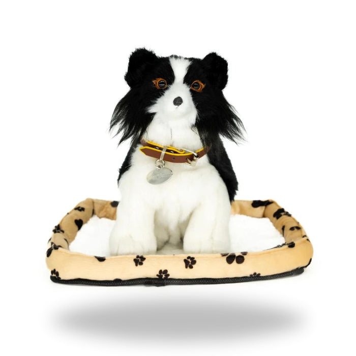 Sweet Petzzz - Realistic Plush Dog and Cat Toy – Teddy & Co FUNLAND!!!