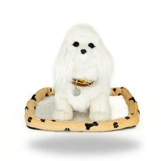 Sweet Petzzz - Realistic Plush Dog and Cat Toy – Teddy & Co FUNLAND!!!