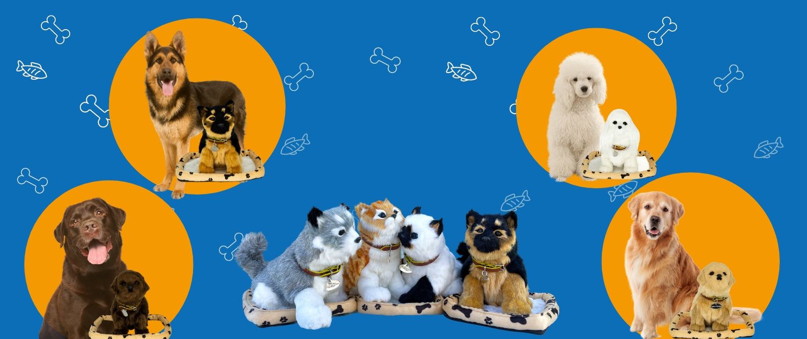 Teddy & Co FUNLAND!!! - Fun for everyone!
