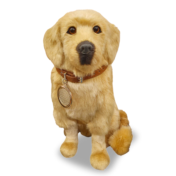 Sweet Petzzz – Teddy & Co FUNLAND!!!